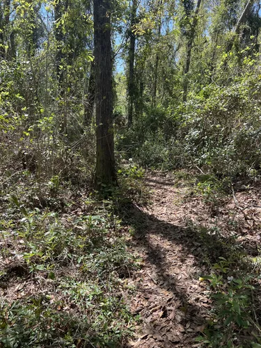 Best Hikes and Trails in Foley | AllTrails
