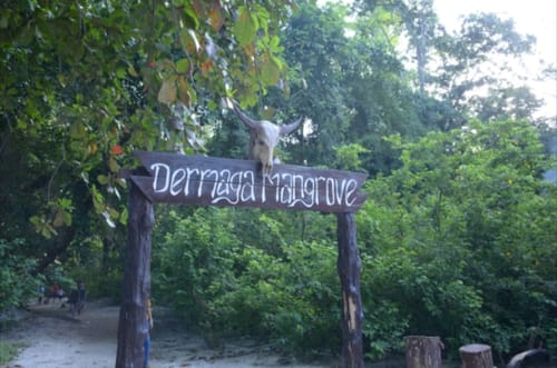 Best Hikes and Trails in Baluran National Park | AllTrails