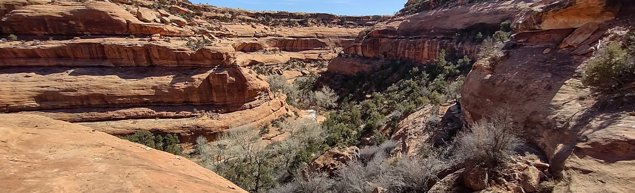 Moon House Ruins: 60 Reviews, Map - Utah | AllTrails