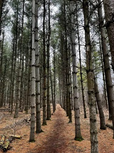 10 Best Trails and Hikes in Guelph | AllTrails