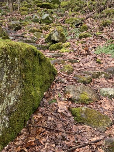 Best Hikes and Trails in Goose Pond Reservation | AllTrails