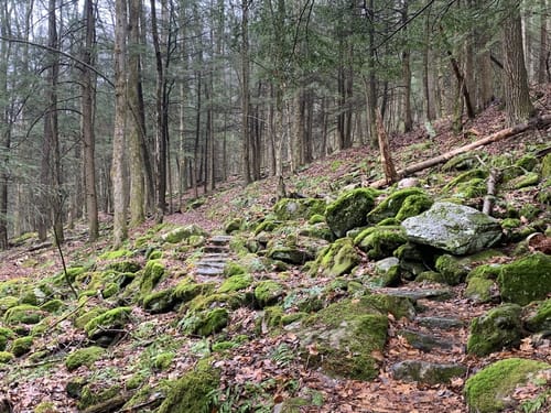 Best Hikes and Trails in Goose Pond Reservation | AllTrails