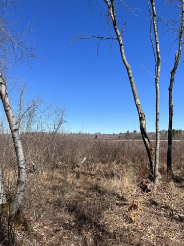 Best Hikes and Trails in Rines Wetlands and Wildlife Preserve | AllTrails