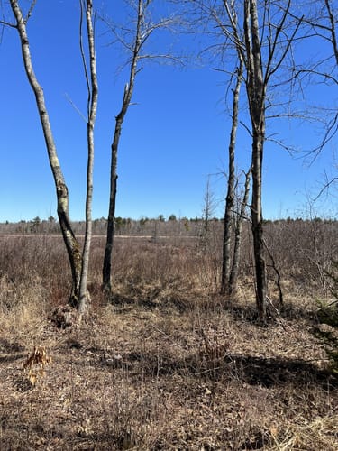 Best Hikes and Trails in Rines Wetlands and Wildlife Preserve | AllTrails