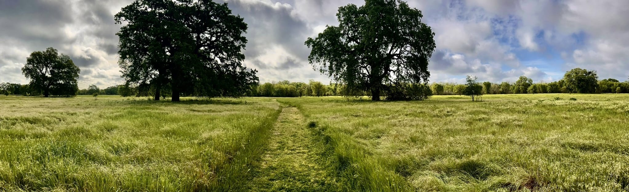 Cosumnes River Walk Trail: 677 Reviews, Map - California | AllTrails Cosumnes River Walk Trail: 677 Reviews, Map - California | AllTrails