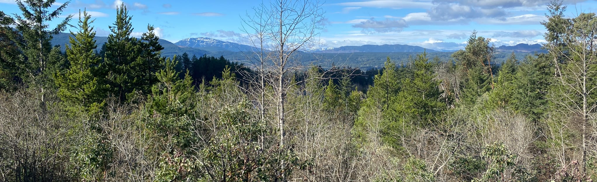 Rutherford and Radar Ridge , British Columbia, Canada - 519 Reviews ...