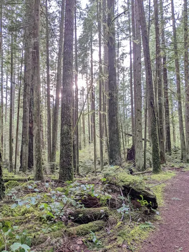 10 Best Trails and Hikes in Sechelt | AllTrails