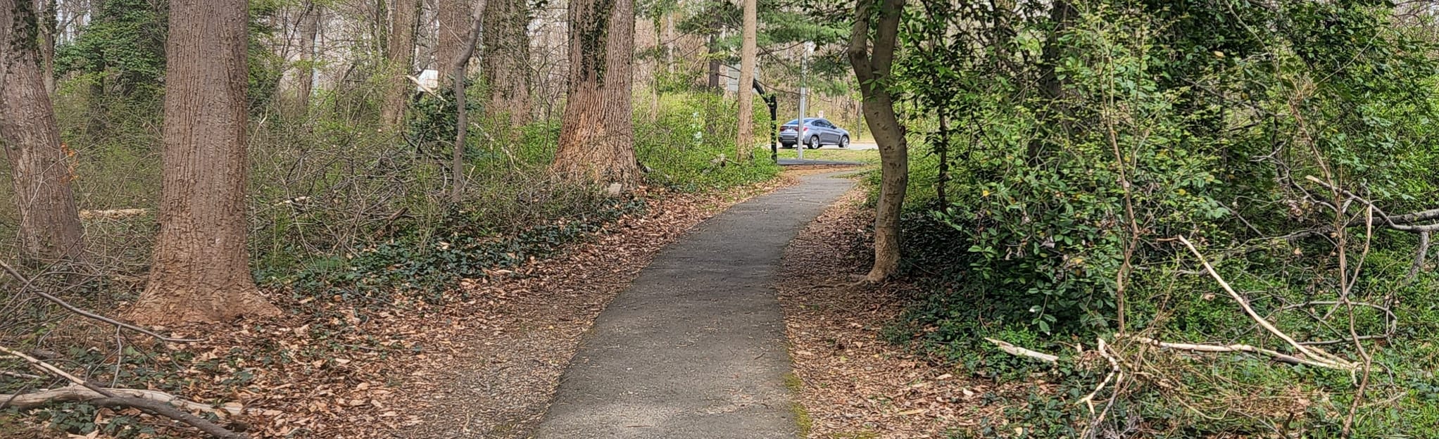 McLean Central Park Loop: 89 Reviews, Map - Virginia | AllTrails
