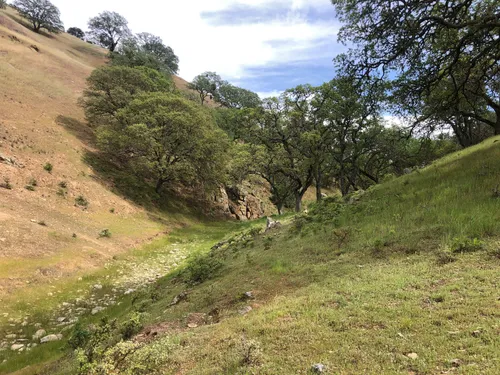 Best Moderate Trails in Gustine | AllTrails