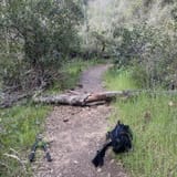 Tenaja Canyon via Tenaja Trail, California - 181 Reviews, Map | AllTrails