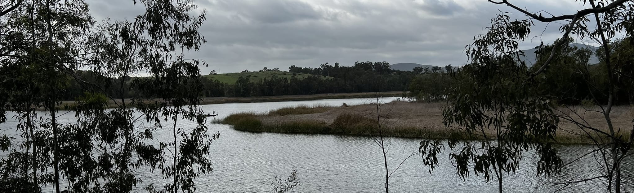 Lower Otay Reservoir: West Side: 636 Reviews, Map - California | AllTrails