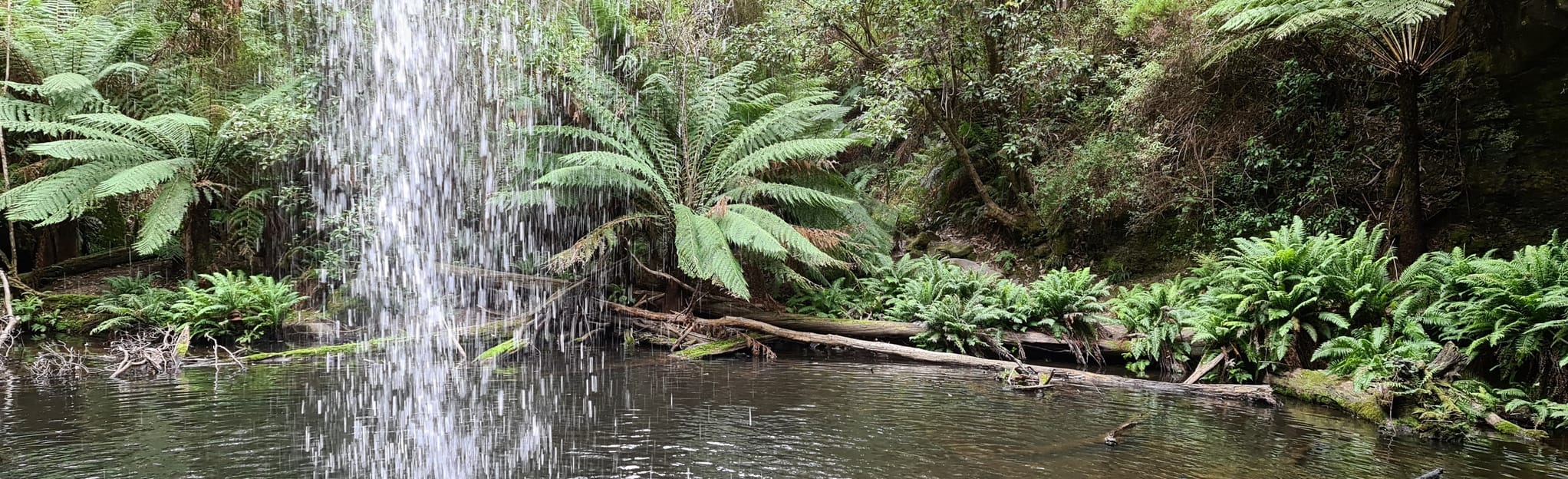 Lower Kalimna Falls: 55 Reviews, Map - Victoria, Australia | AllTrails