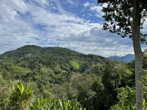 10 Best Trails and Hikes in Batu Caves | AllTrails