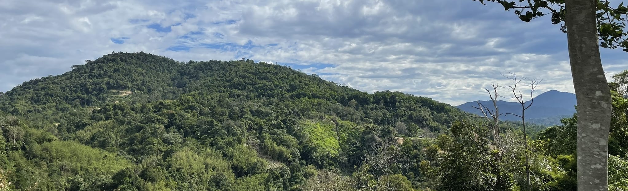 Sungai Tujuh Puteri Loop: 48 Reviews, Map - Selangor, Malaysia | AllTrails