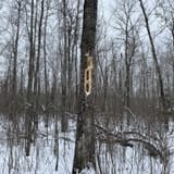 Whiteshell River Bridge Trail, Manitoba, Canada - 363 Reviews, Map ...