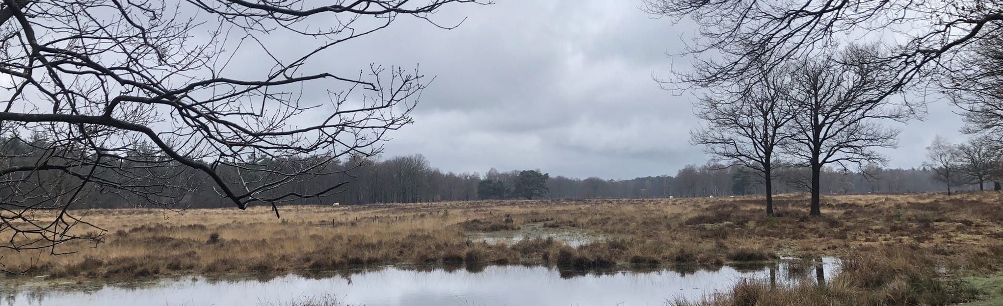 AllTrails | Lage Vuursche - Nonnenland - De Stulp: 10 Reviews, Map ...