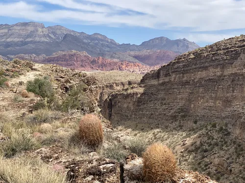 10 Best Trails and Hikes in Blue Diamond | AllTrails