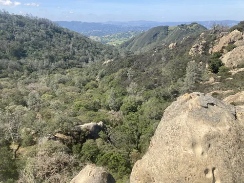 Best Kid Friendly Trails in Mount Diablo State Park | AllTrails