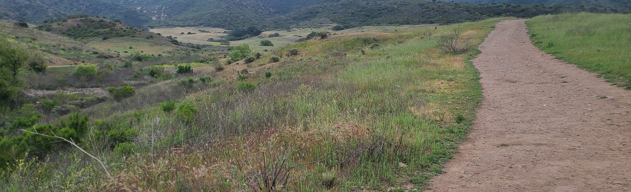 Satwiwa Loop Trail to Old Boney, Fossil and Upper Sycamore Loop ...