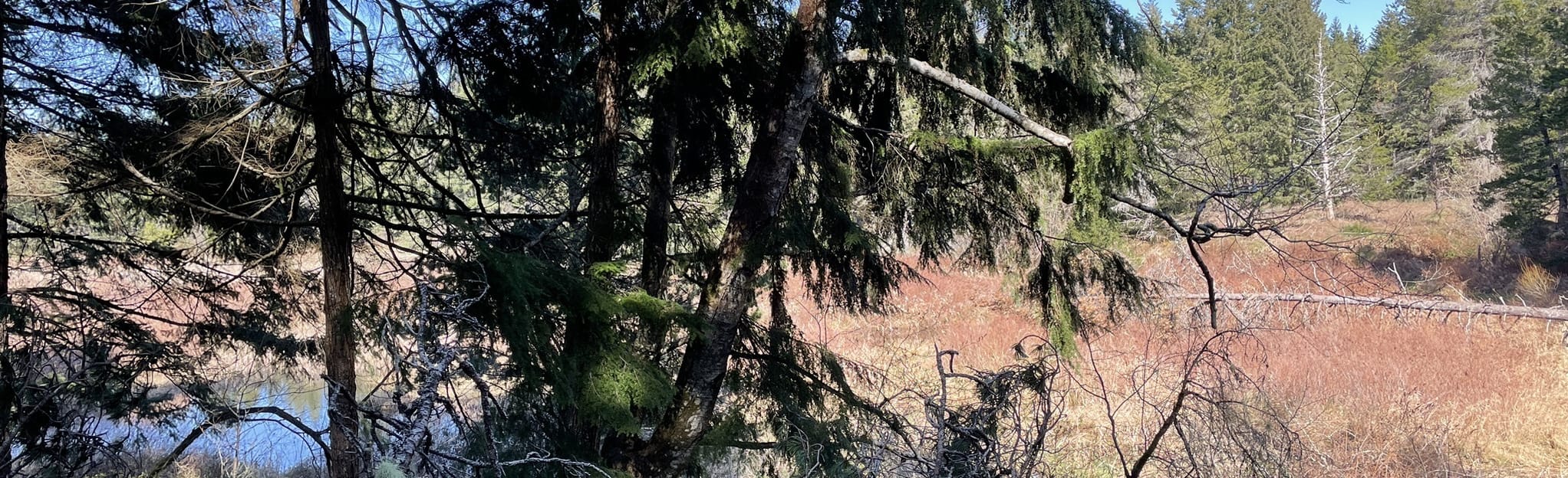 AllTrails | Lazo Marsh Bird Lookout Loop: 30 Reviews, Map - British ...