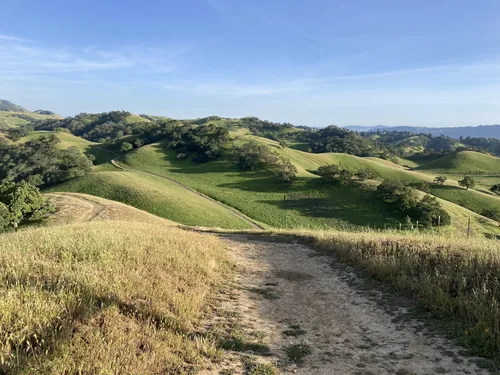 10 Best Moderate Trails in Shell Ridge Open Space | AllTrails