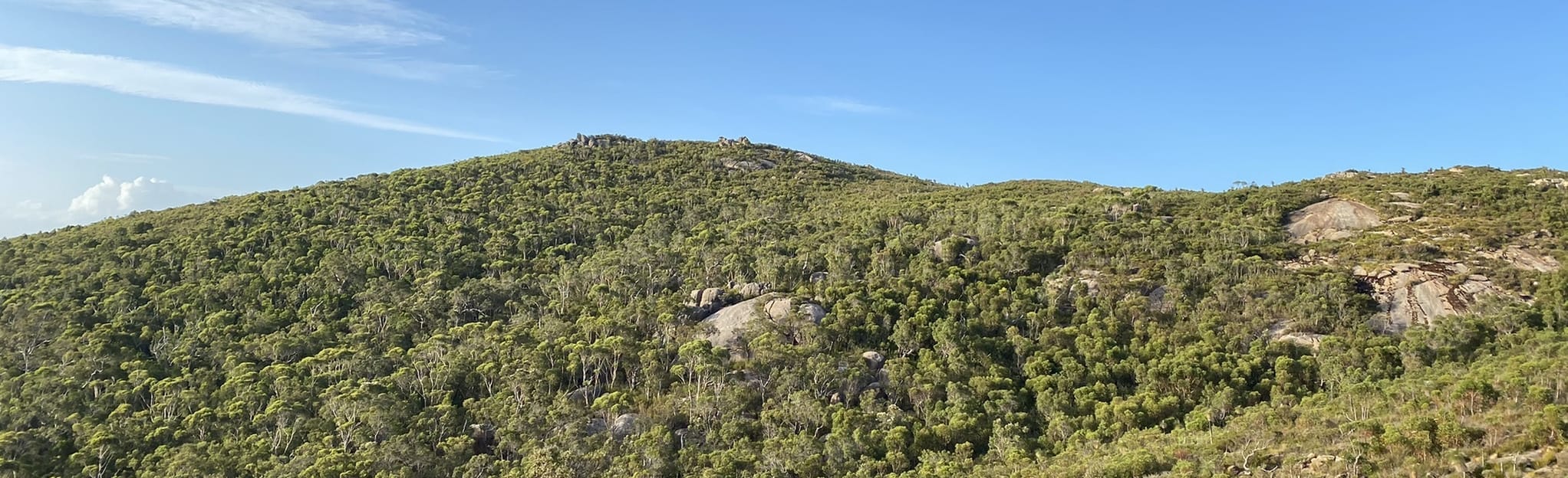 Mount Lindesay, Western Australia, Australia - 70 Reviews, Map | AllTrails