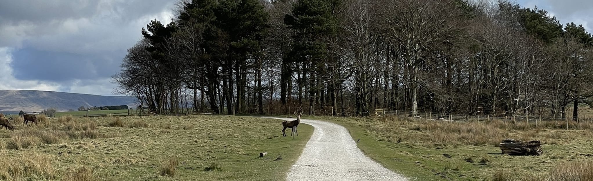 Lyme Park and Disley via Gritstone Trail - Greater Manchester, England ...