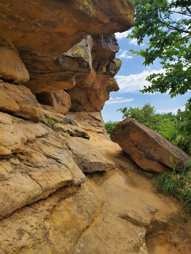 Best Hikes and Trails in Fall River State Park | AllTrails