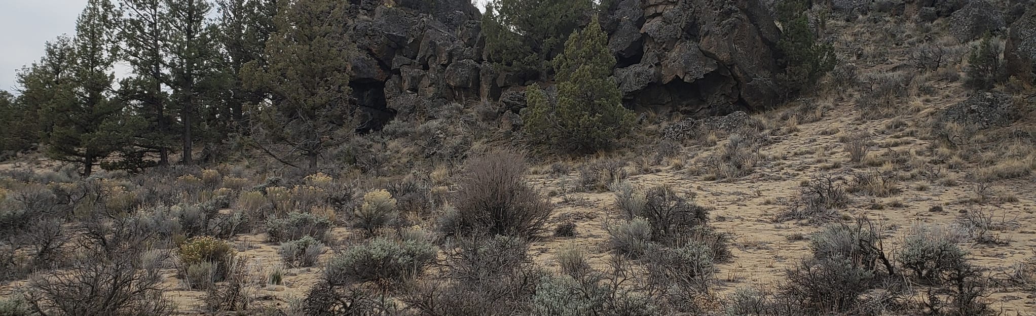 Sand Lily Trail, Mazama Ash Trail, and Flatiron Rock: 40 Reviews, Map ...