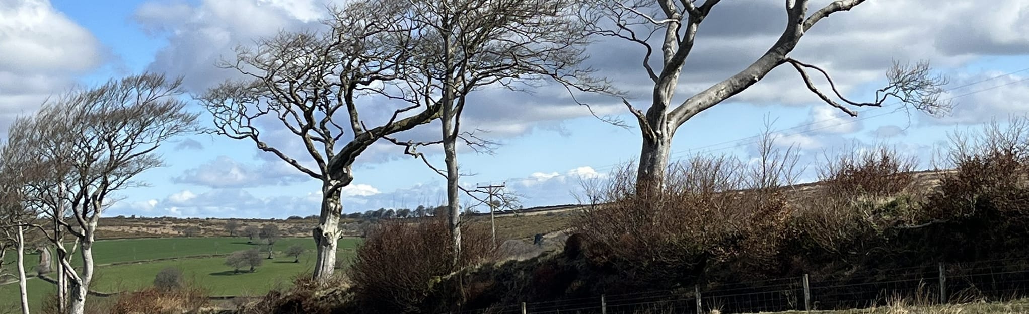 Dulverton to Tarr Steps Circular, Somerset, England - 6 Reviews, Map ...