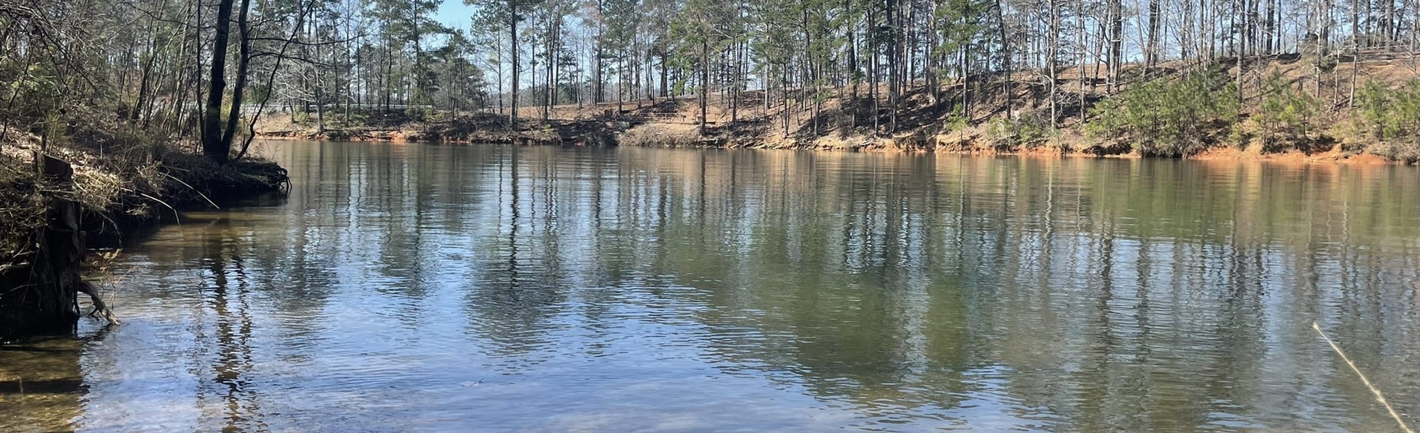 Carters Lake Oak Ridge Nature Trail, Georgia - 32 Reviews, Map | AllTrails