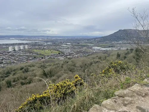 Best Hikes and Trails in Carnmoney Hill Wood | AllTrails