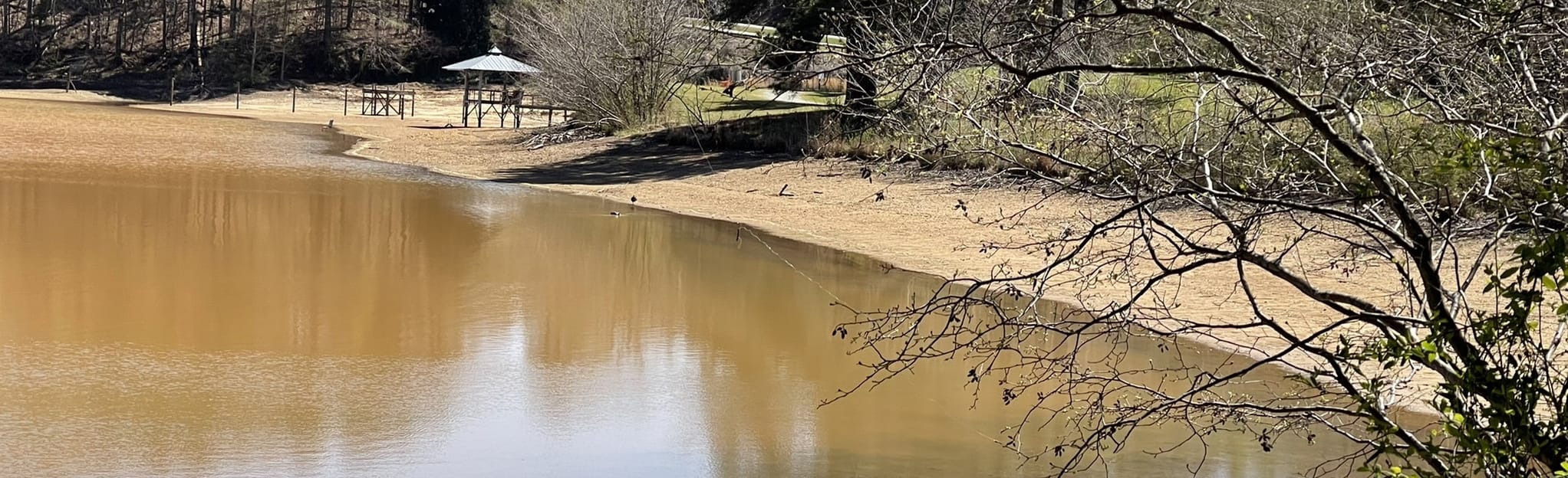 Silver Comet Trail from Coots Lake: 173 Reviews, Map - Georgia | AllTrails