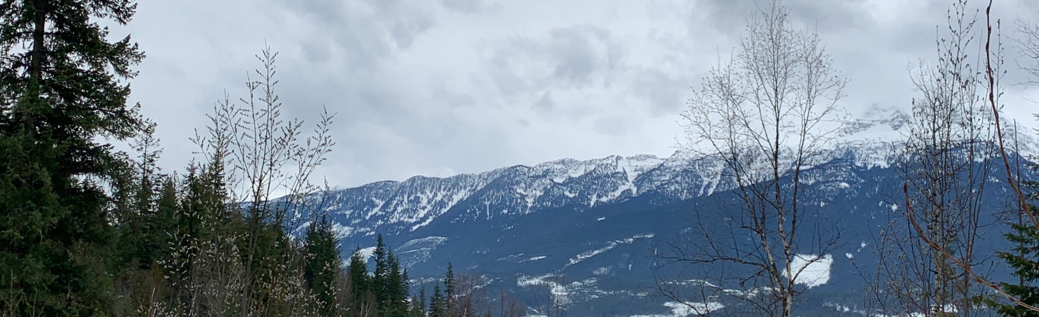 Crowbar Loop, British Columbia, Canada - 8 Reviews, Map | AllTrails