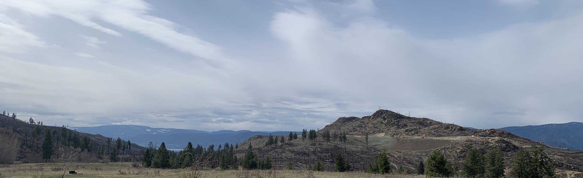 Bellevue Creek Loop, British Columbia, Canada - 13 Reviews, Map | AllTrails