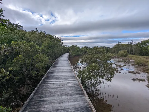 Best Hikes and Trails in Hunter Wetlands National Park | AllTrails