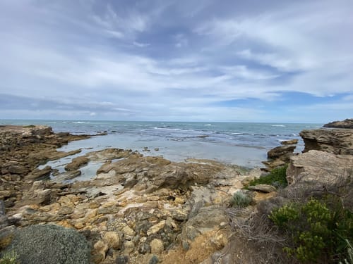 Best Hikes and Trails in Thunder Point Coastal Reserve | AllTrails