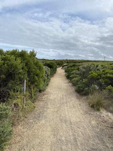Best Hikes and Trails in Thunder Point Coastal Reserve | AllTrails