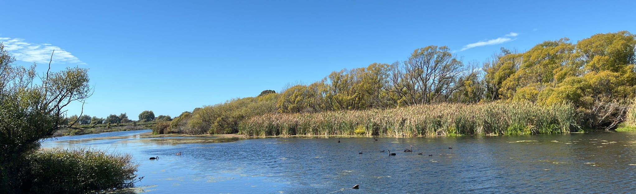 Grovetown Lagoon Loop Walk - Marlborough, New Zealand | AllTrails
