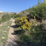 Mormon Rocks Interpretive Trail, California - 249 Reviews, Map | AllTrails