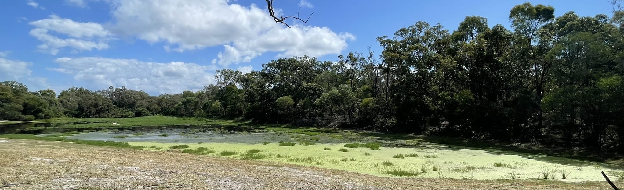 Links Park Bush and Beach Loop - Queensland, Australia | AllTrails
