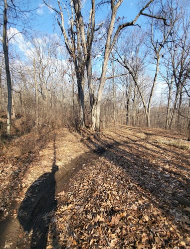 Best Hikes and Trails in Constitution Marsh Audubon Center and ...