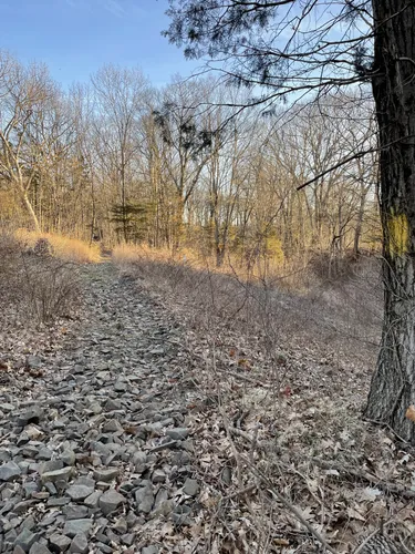 Best Hikes and Trails in Giuffrida Park | AllTrails