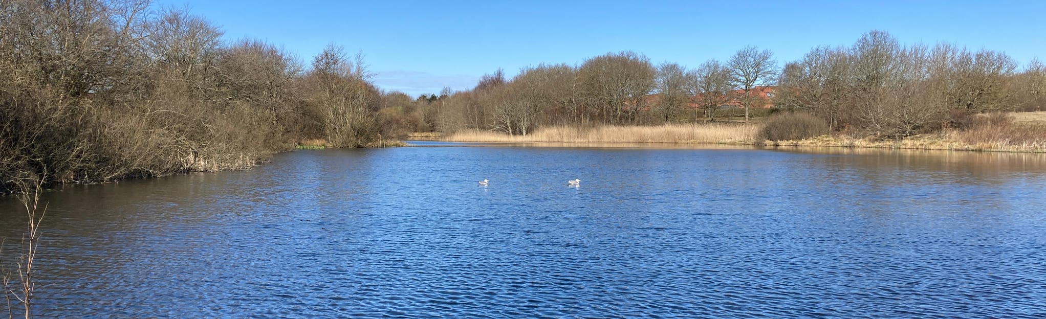 Søgård Sø - Guldager Møllebæk - Region of Southern Denmark, Denmark ...