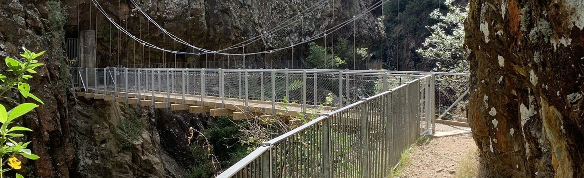 Dickey Flat to Karangahake Loop [CLOSED], Waikato, New Zealand - 47 ...