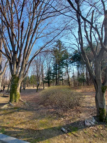Best Hikes and Trails in Yangjae Citizen's Forest | AllTrails