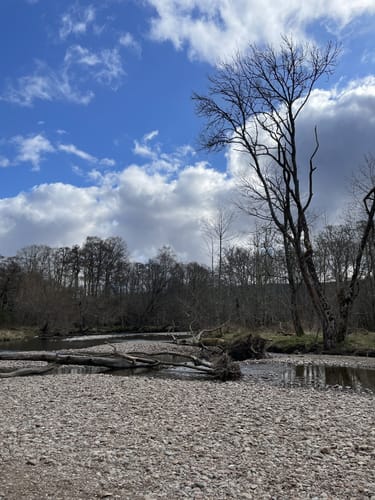 2023 Best 10 Trails, Walks, and Paths in Inverness | AllTrails