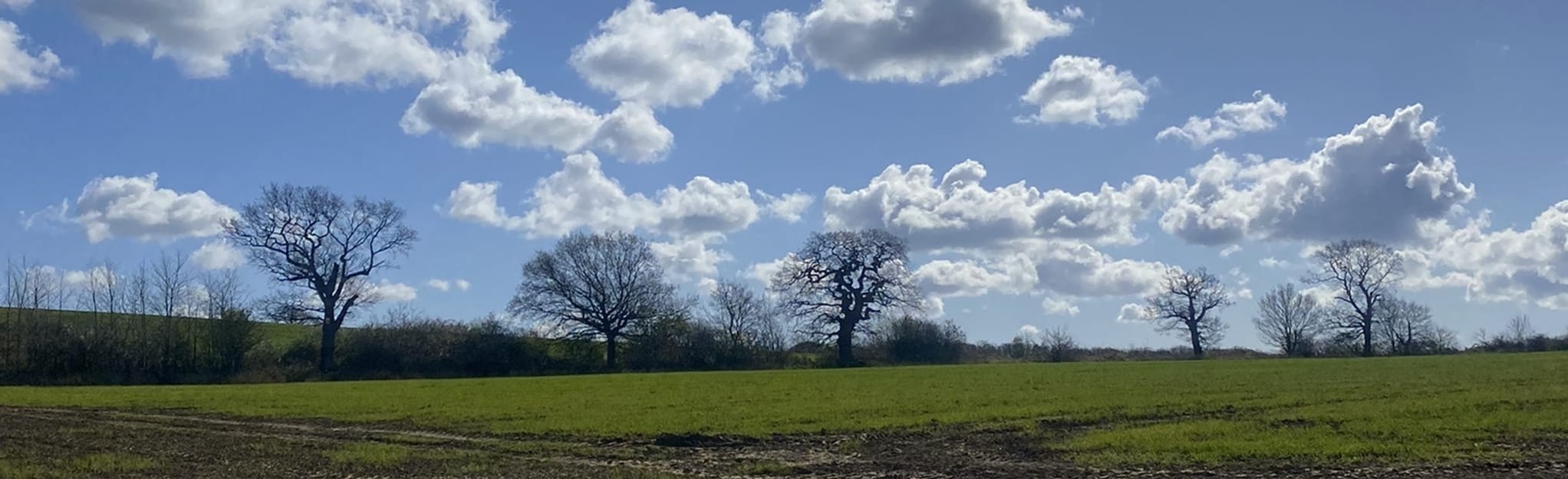 Edwards Hall Park and Hockley Woods: 151 foto's - Essex, England ...