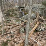 Squantz Pond Trail, Connecticut - 421 Reviews, Map | AllTrails