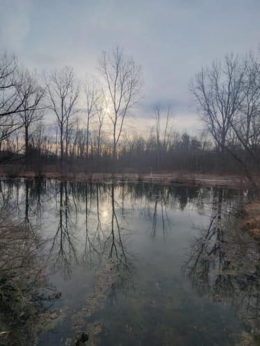 Best Hikes and Trails in Ada Township Park | AllTrails